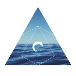 Flow Consciousness Institute | Cutting Edge Research & Flow Trainings