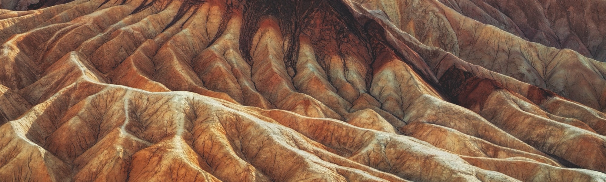 Advisors-Banner-Background - Flow Consciousness Institute